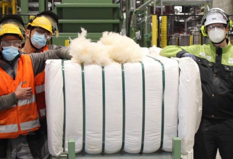 Award for paper pulp to fibre development