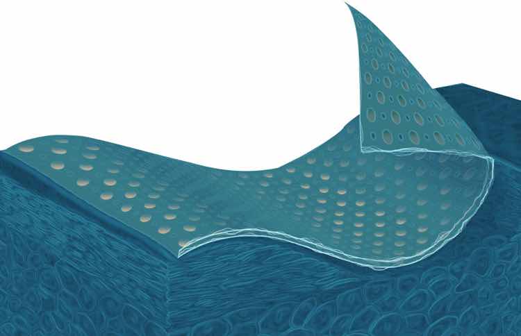 Electroceutical fabric kills coronavirus