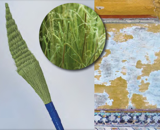 A new broom for India